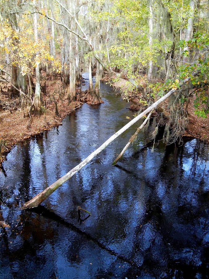 Tributary Photograph by Richard Mathis | Fine Art America