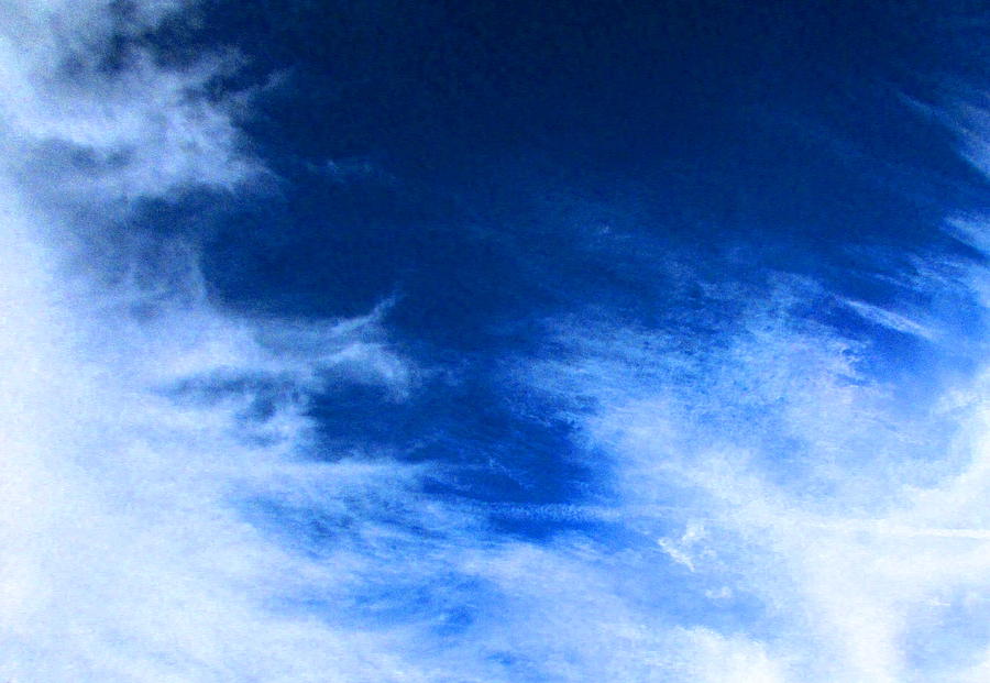 True Blue Photograph by Gayle Price Thomas - Pixels