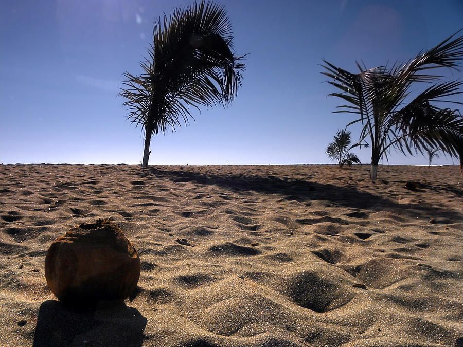 Tulate Beach Photograph by Manuel Merida - Pixels