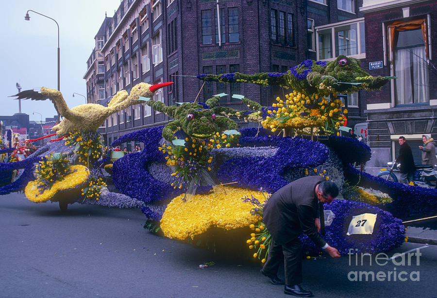 Tulip Parade Float Photograph by Bob Phillips | Fine Art America