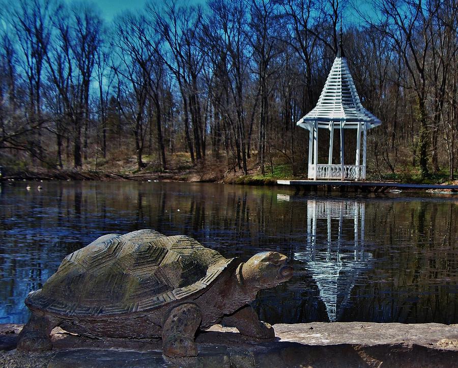 Turtle Crossing Photograph by Greg Kear - Pixels
