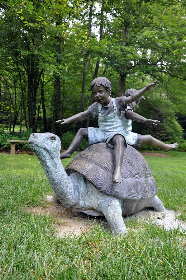 Turtle Fun Photograph by David Dittmann - Fine Art America