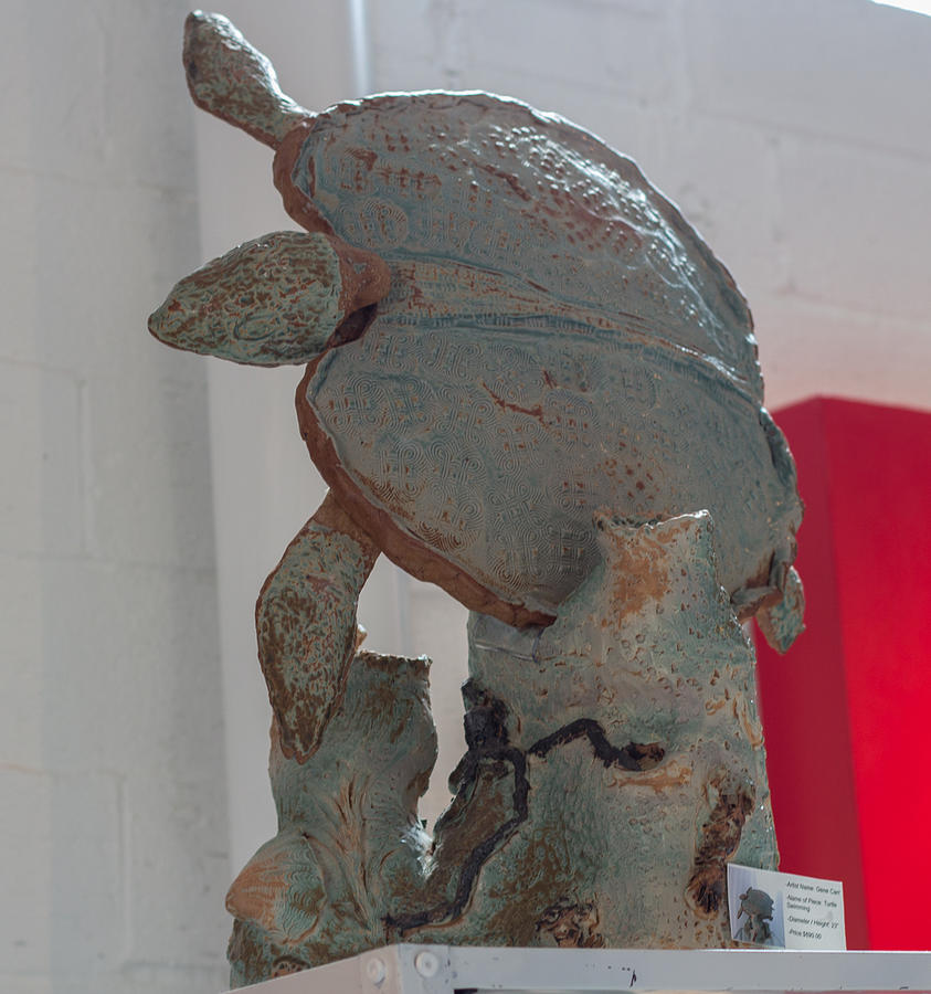 Turtle Swimming Sculpture by Gene Carr - Fine Art America