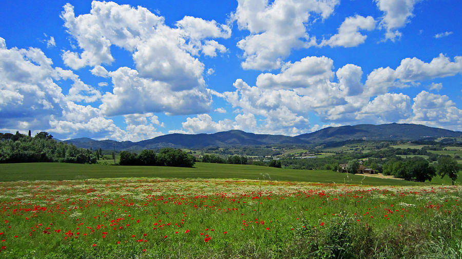 Tuscan Fields Photograph by Eric Dini - Fine Art America