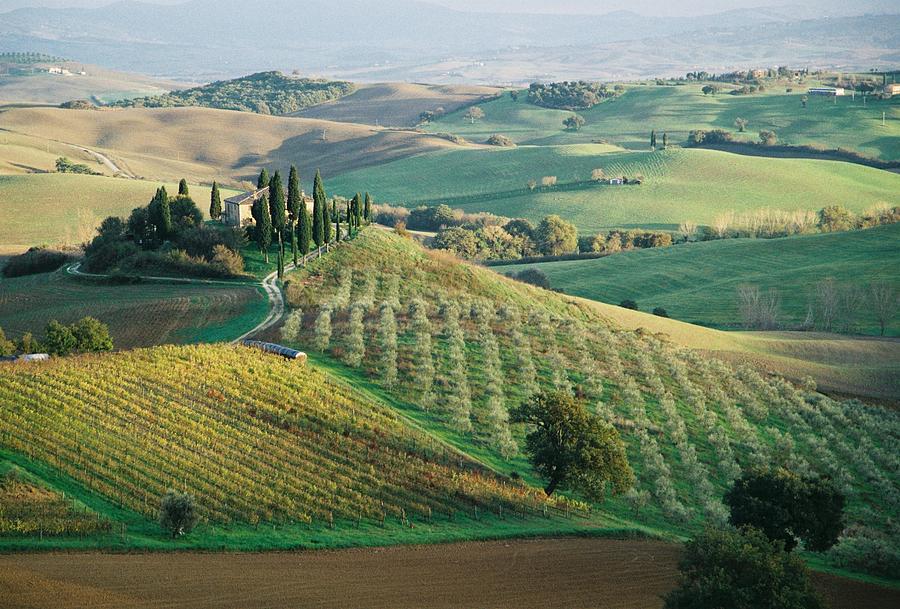 Tuscany Fields Photograph by Dmitri Korobtsov | Fine Art America