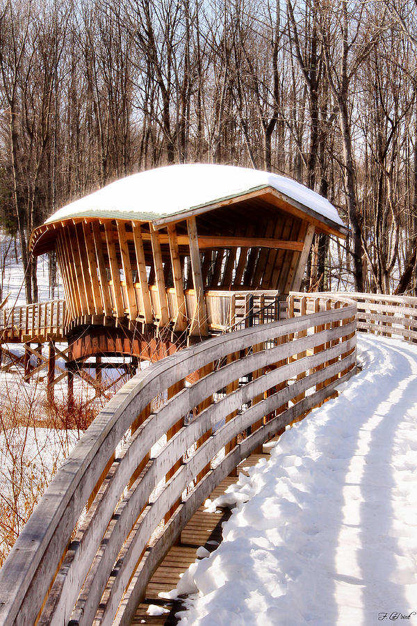 Twisted Paths Photograph by Fred LaPoint - Pixels