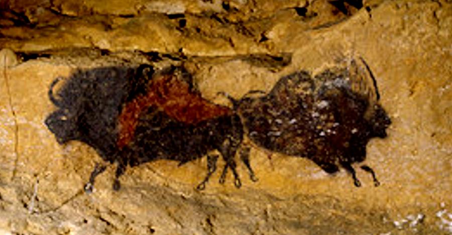 Two Bison Severely Limited Resolution UPSIZED Painting by L Brown ...