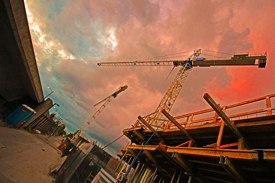 Two Cranes Photograph by Mark Tsemak - Fine Art America