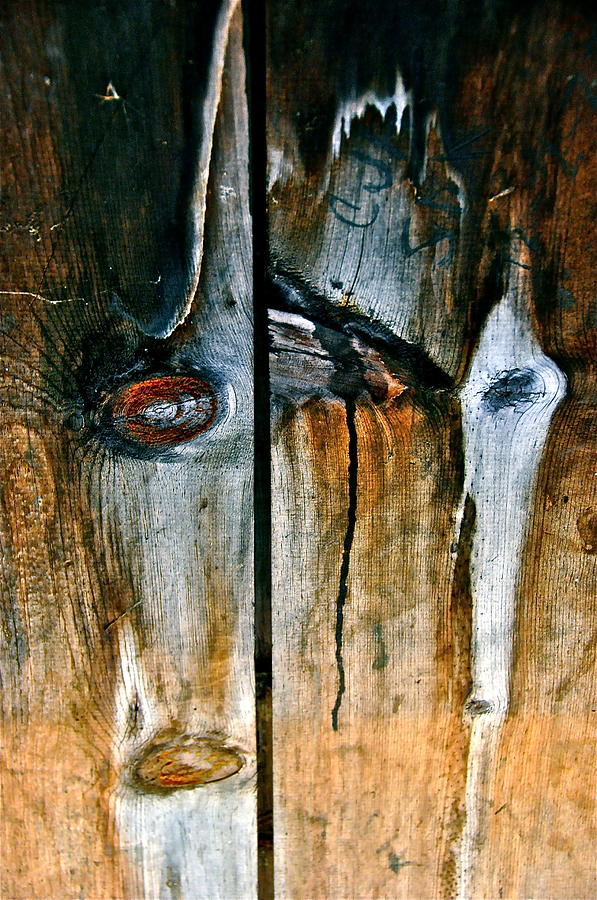 Two Faced Photograph by David Flitman | Fine Art America