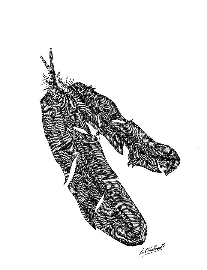 Two-feathers Drawing by Lee Halbrook