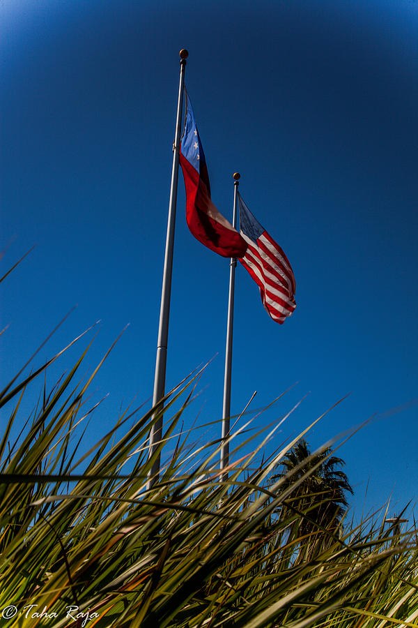 Two Flags Photograph by Taha Raja - Fine Art America