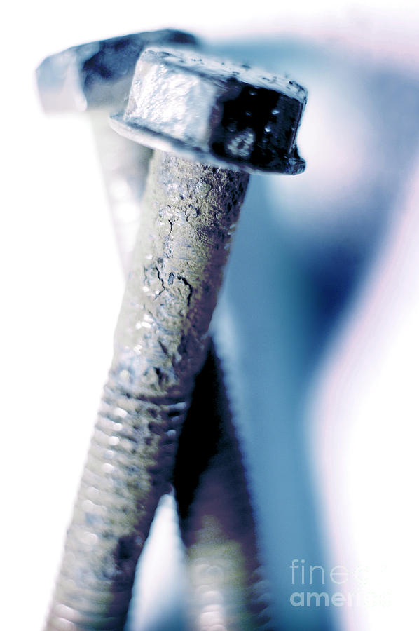 Two old bolts Photograph by Michael Edwards - Fine Art America