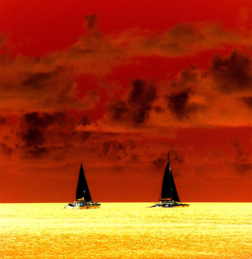Two Tone Photograph by Randall Weidner - Fine Art America