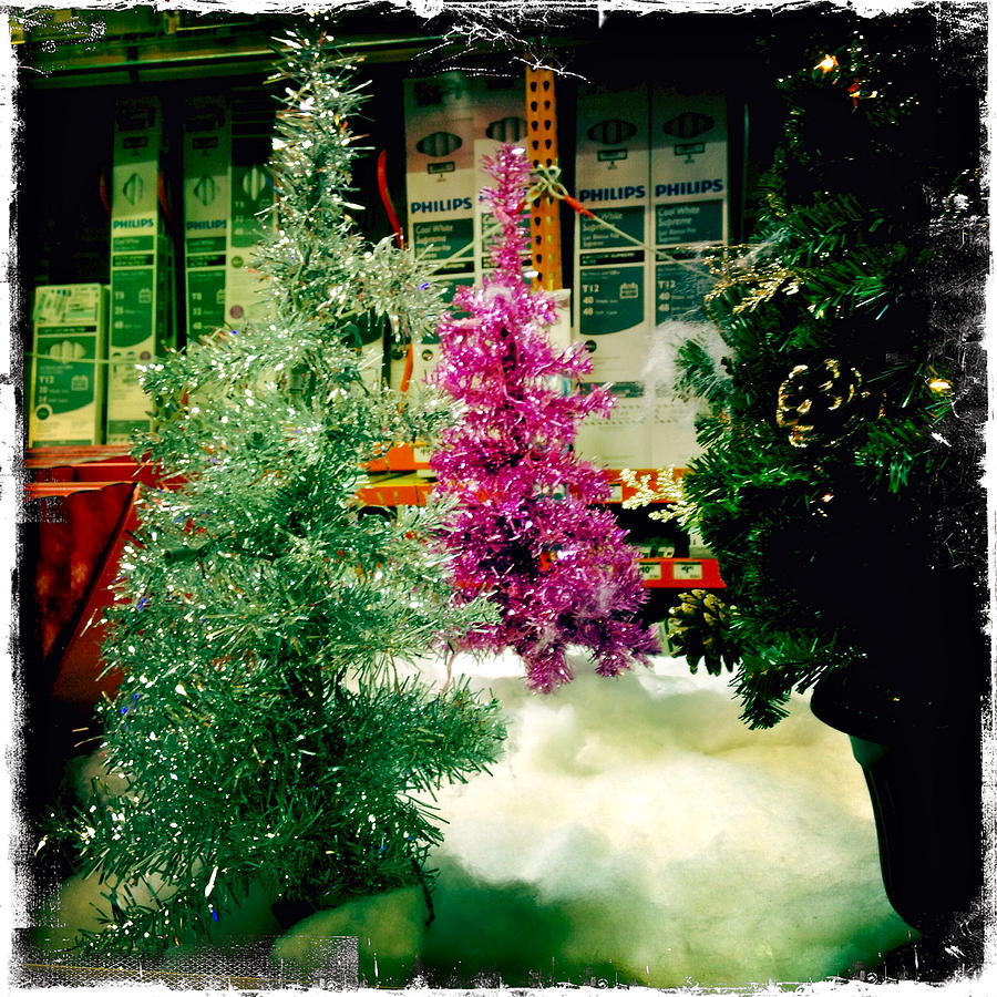 Two Trees Photograph by Alya Ali - Fine Art America