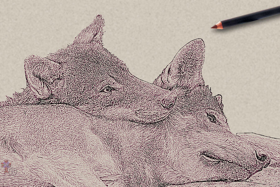 Two wolfs Digital Art by Thomas Becker - Fine Art America