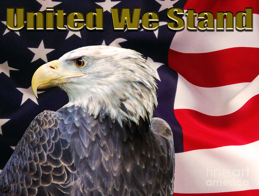 United We Stand Photograph by Mim White | Fine Art America