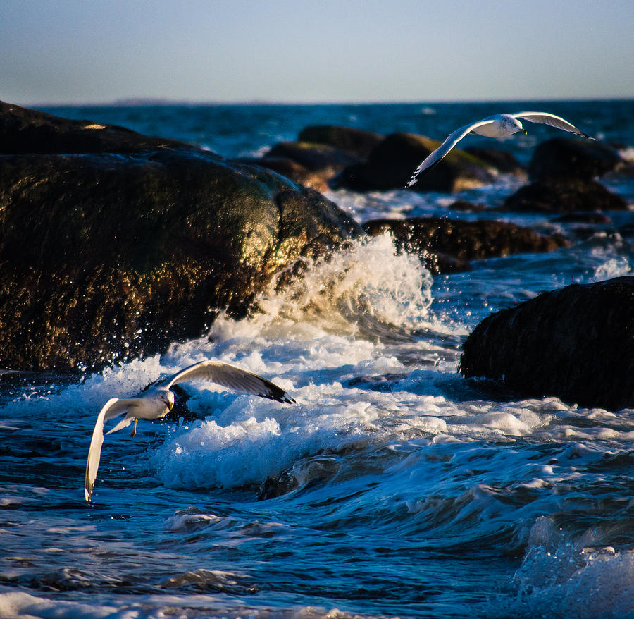 Unity Photograph by Heather Wardrop - Fine Art America