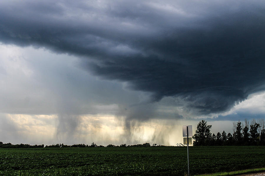 Updraft Photograph by Nick Peters - Fine Art America
