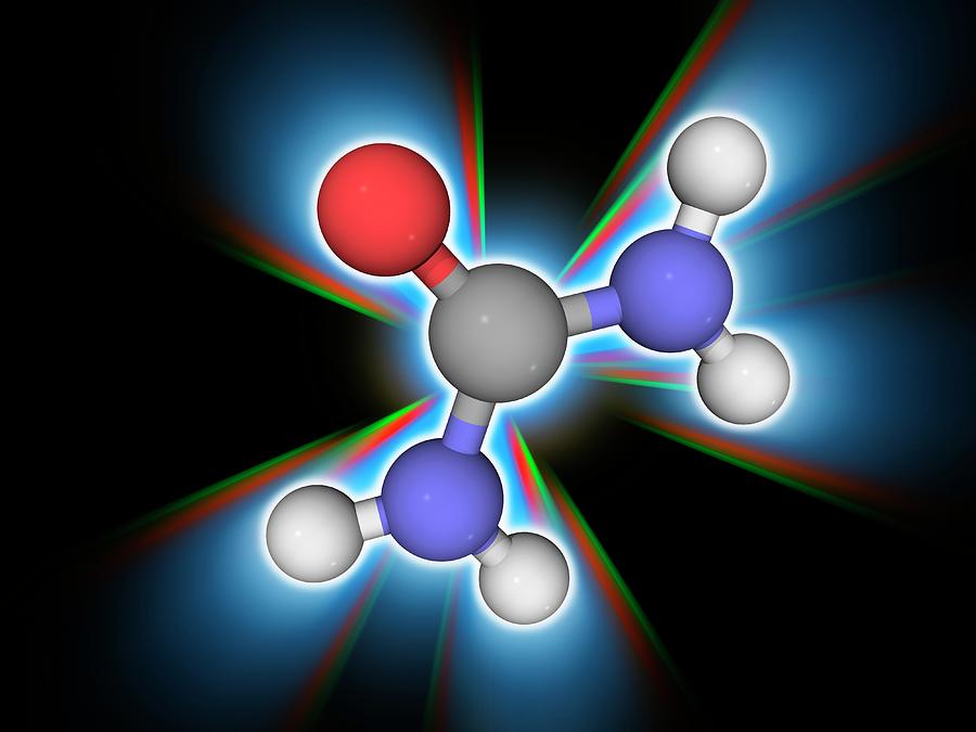 Urea Organic Compound Molecule Photograph by Laguna Design/science ...