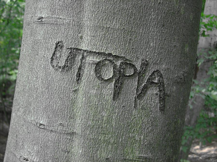 Utopia Photograph by Tom Eckels - Fine Art America