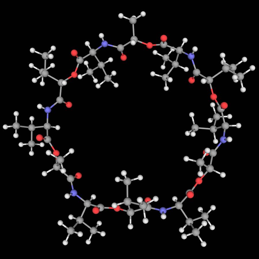 Valinomycin Molecule by Science Photo Library