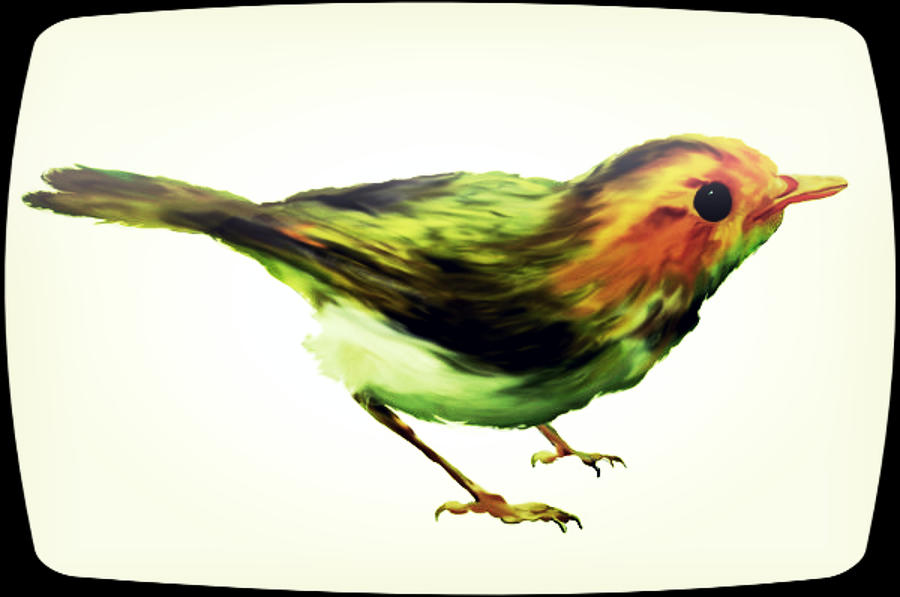Vector Bird Digital Art by Lacy Raef - Fine Art America