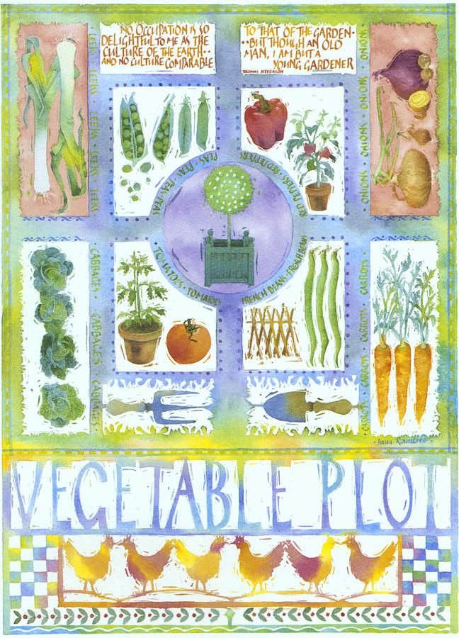 Vegetable Plot Painting by MGL Meiklejohn Graphics Licensing - Pixels
