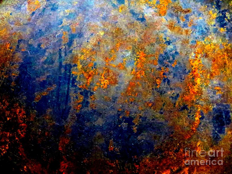 Vegetation Photograph by Tim Townsend - Fine Art America
