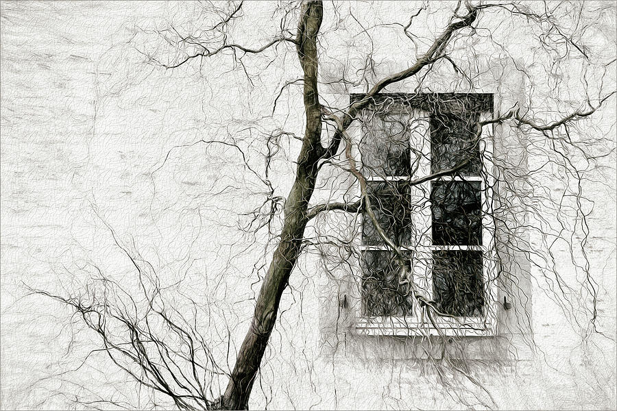 Veiled Window Photograph by Gilbert Claes - Fine Art America Veiled Window Photograph by Gilbert Claes - Fine Art America