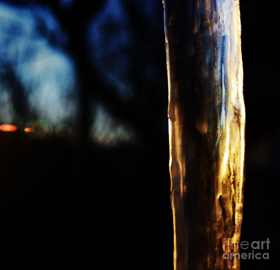 Vertical dawn Photograph by Wesley Hahn | Fine Art America