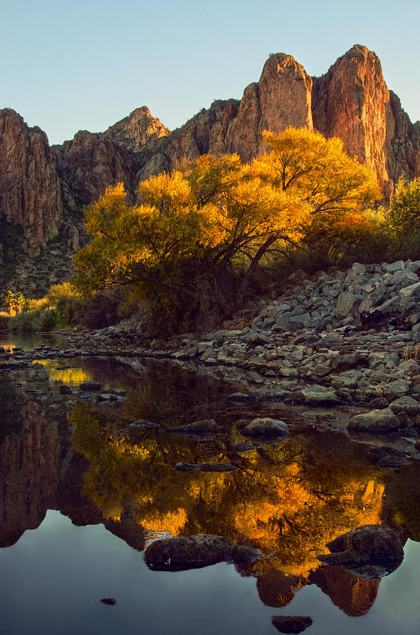 Vertical Fall Color Reflections Photograph by Dave Dilli