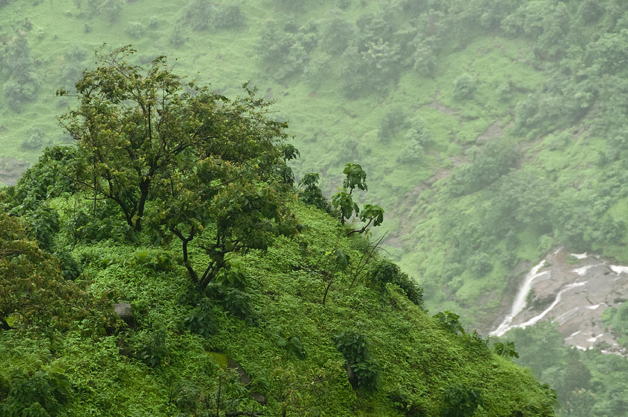 View From Monkey Point At Matheran Photograph by Scott Lenhart - Fine ...