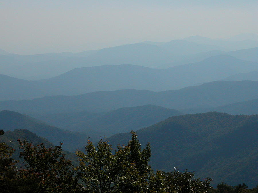View from Mt. Mitchell Photograph by Michael Gooch - Fine Art America