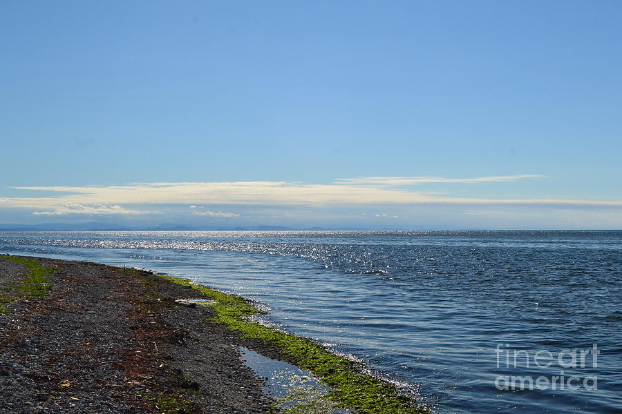 View Photograph by Michael Inscoe - Pixels