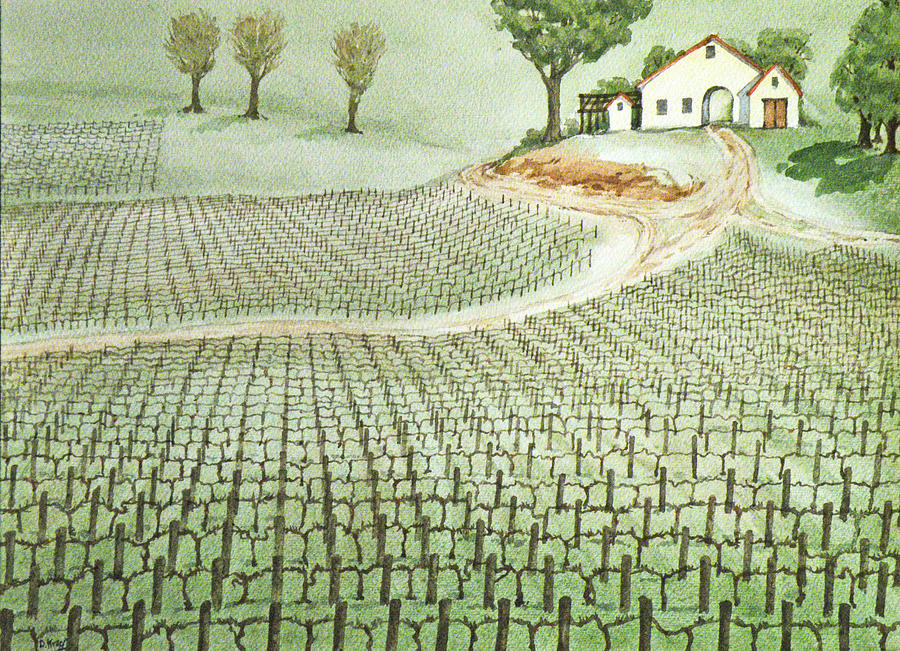 Vineyard Patterns Painting by Dan Krapf - Fine Art America