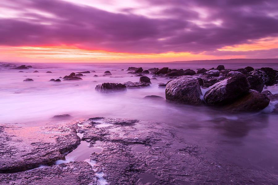 Violet dawn Photograph by Mark Heslington | Fine Art America