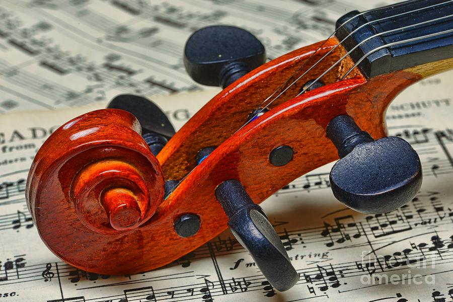 Violin Scroll Up Close Photograph by Paul Ward - Fine Art America
