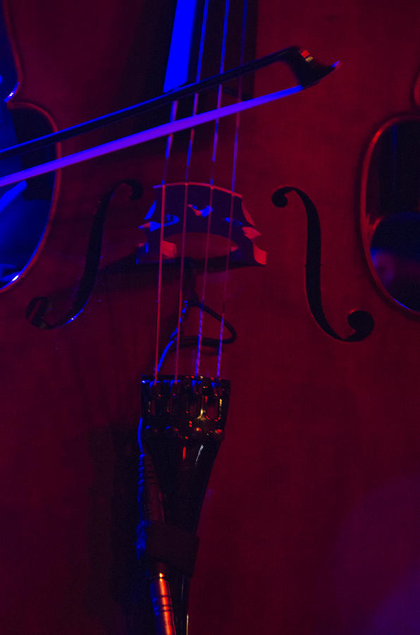 Violin's Playing Photograph by Gerald Andersen - Fine Art America