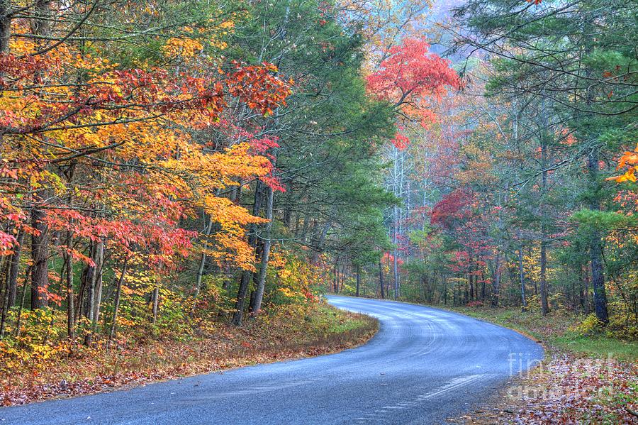 Virginia Backroad Photograph by Craig Holquist | Fine Art America