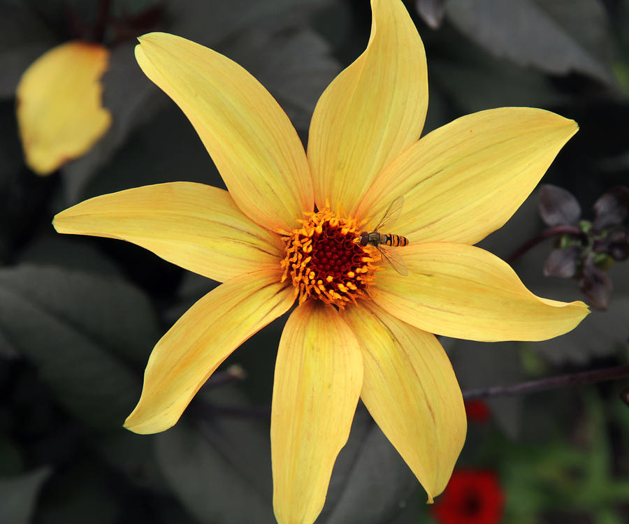 Visitor Photograph by Philip Butler - Fine Art America