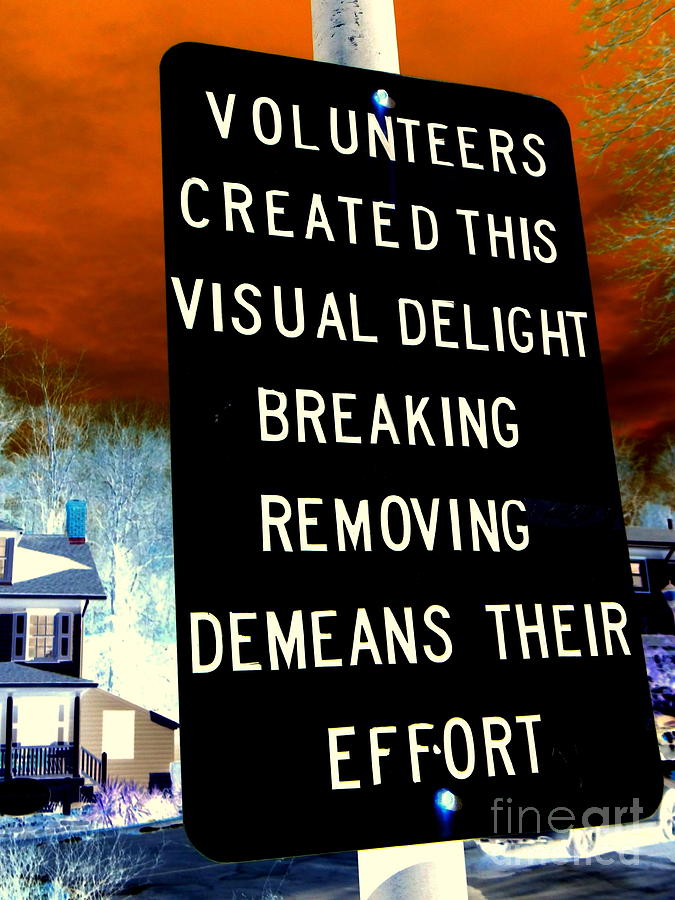 Visual Delight Photograph by Ed Weidman - Fine Art America