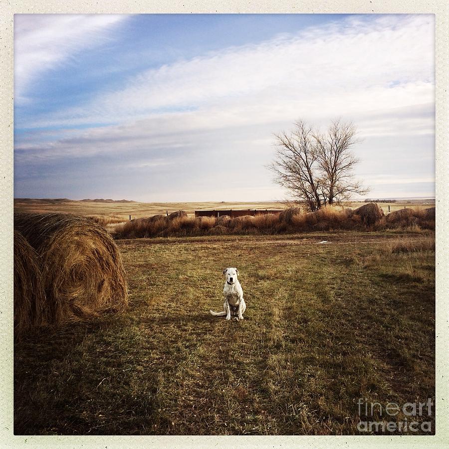 Wait Photograph by Jim Cortez - Fine Art America