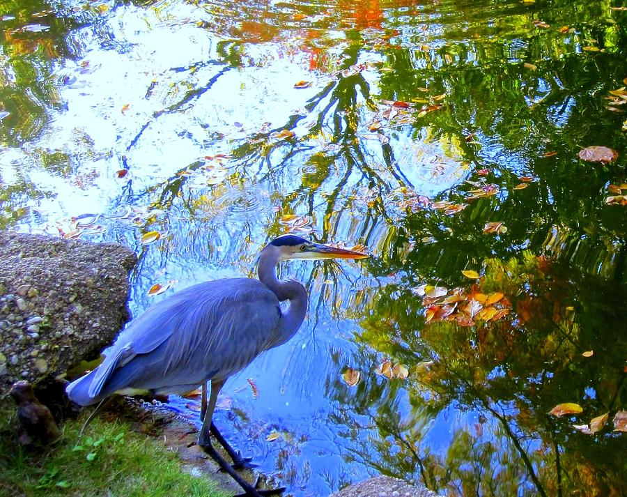 Waiting Photograph By Bonita Brandt Fine Art America