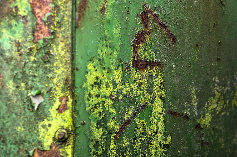 Walking Away Waving Photograph by Sydney Mercer - Fine Art America