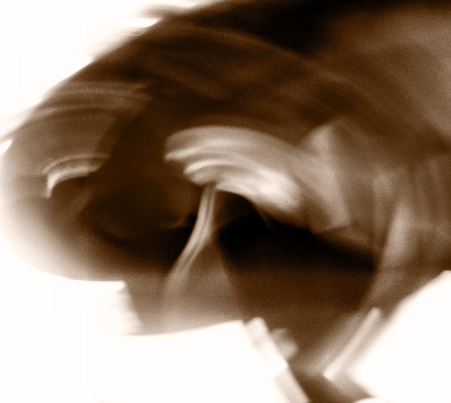 Wall-e Photograph by Mark Jenson - Fine Art America