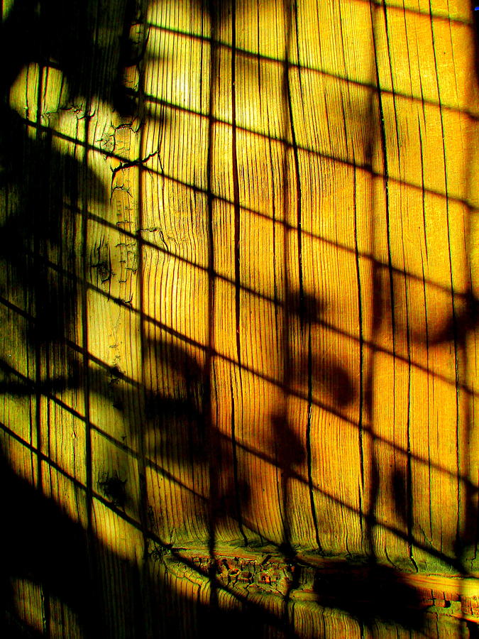 Wall Shadow Photograph by Randall Weidner - Fine Art America