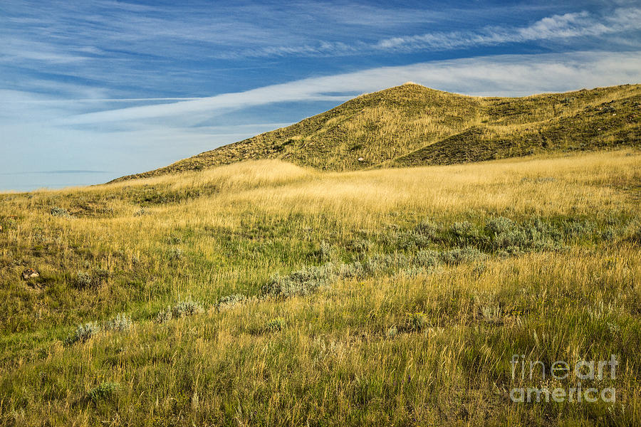 Warm Fields Photograph by Rick Bragan - Fine Art America