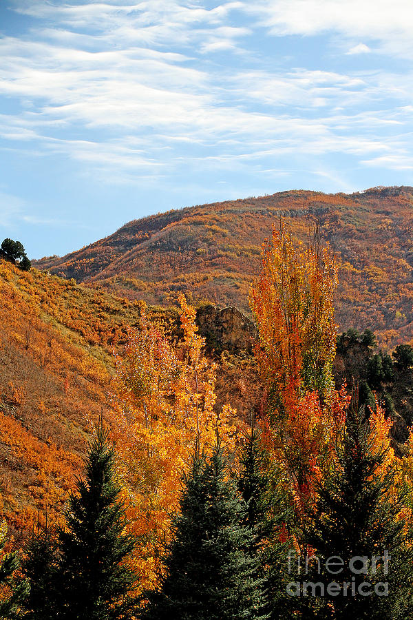 Wasatch Fall Photograph by John Langdon - Fine Art America