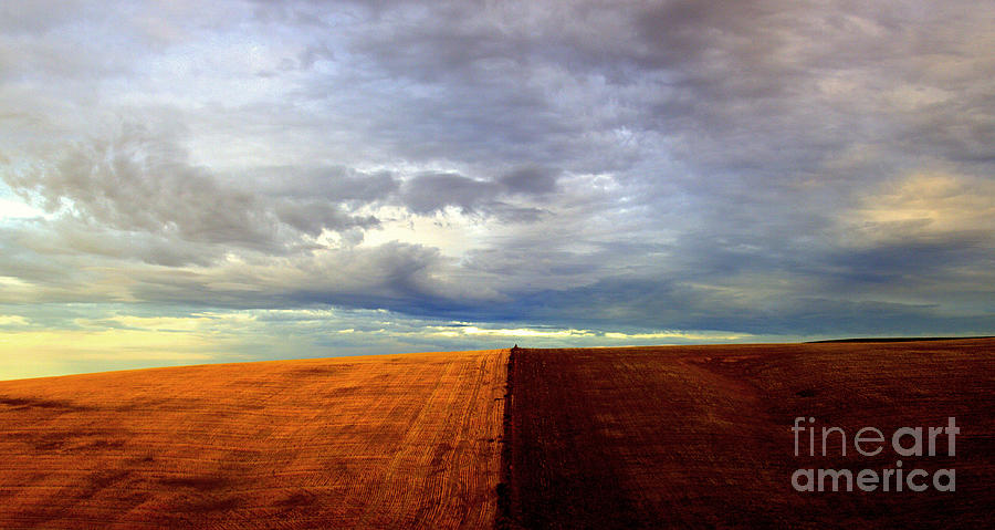Wasco County Fields Photograph by Kenneth Walker - Fine Art America