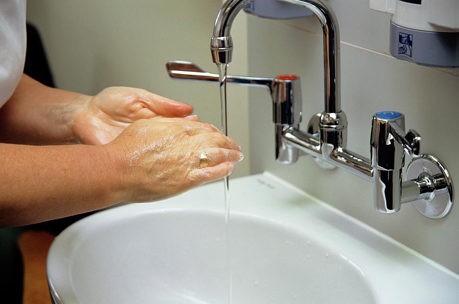 Washing Hands Photograph by Antonia Reeve/science Photo Library | Fine ...